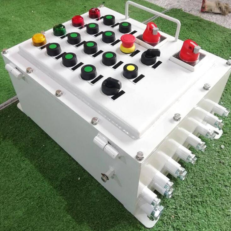 BJX51接线箱 BJX51防爆接线箱 防爆配电箱 防爆仪表箱-化工仪器网